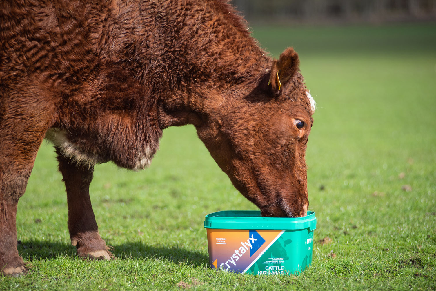 Latest News – Page 3 – Crystalyx