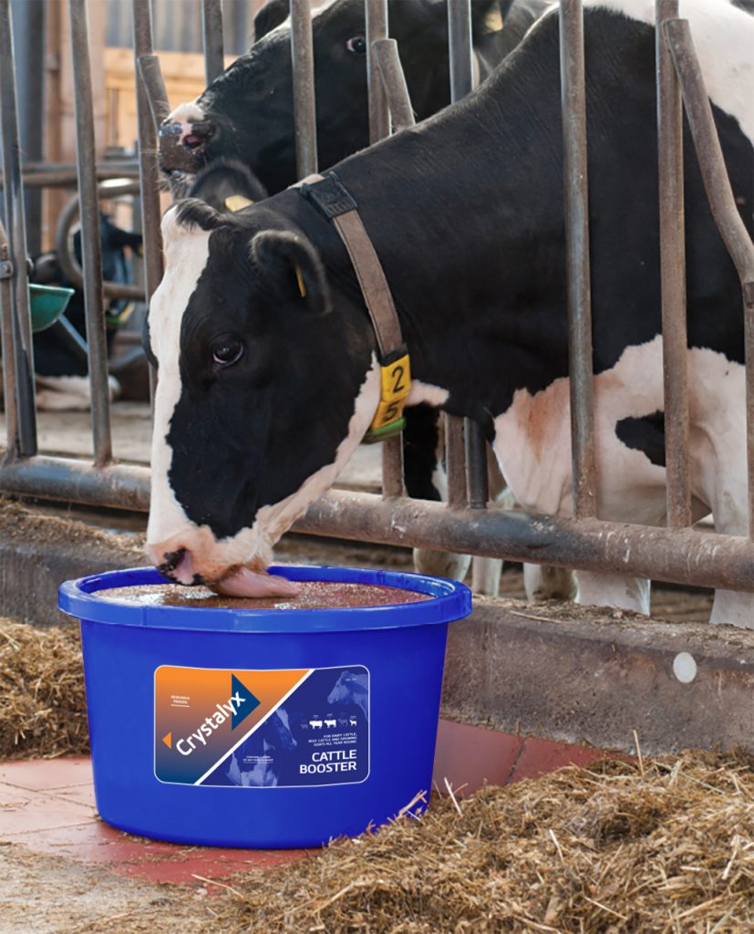 Latest News - Crystalyx