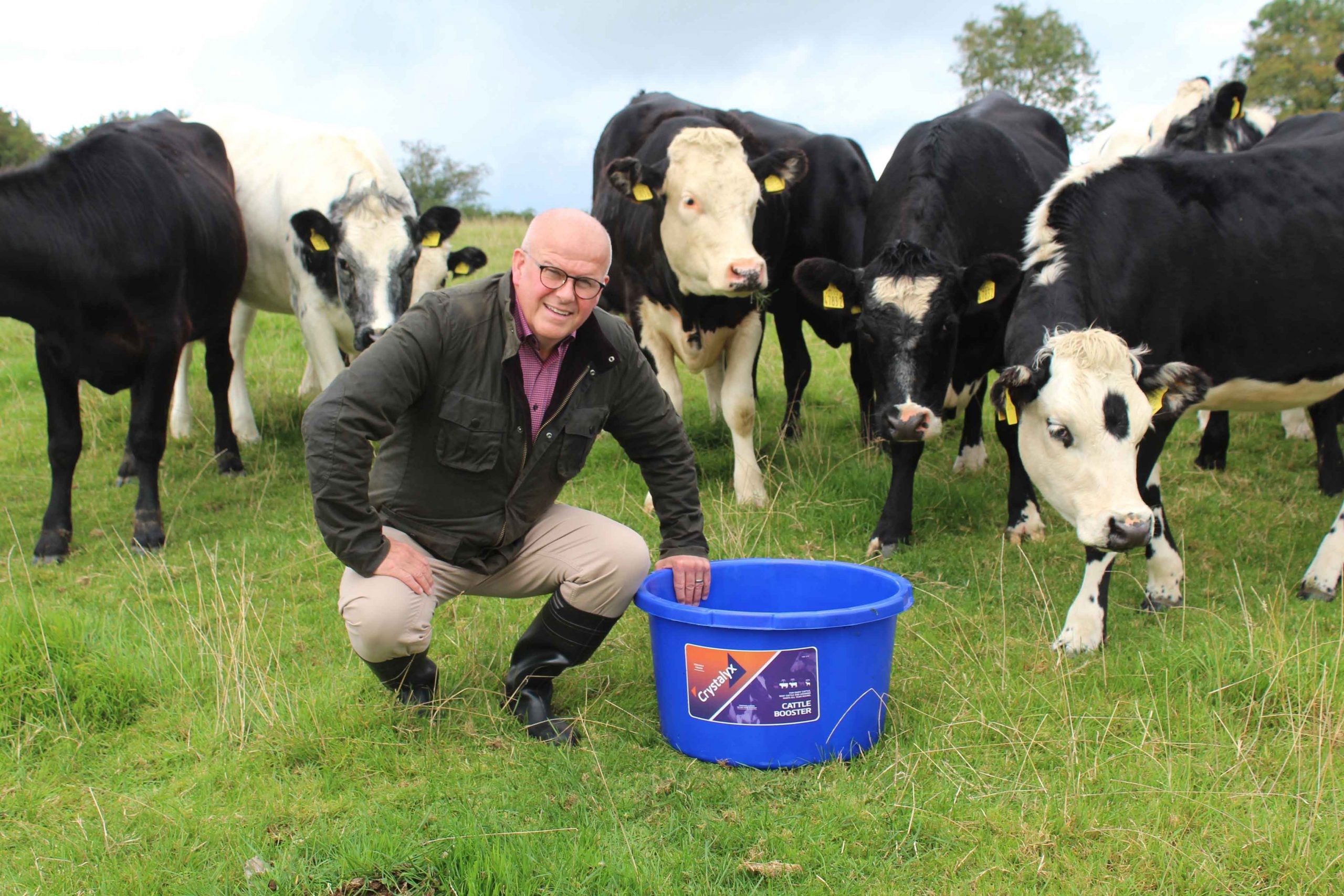 Oceans Of Grass – And How To Make The Best Use Of It! - Crystalyx